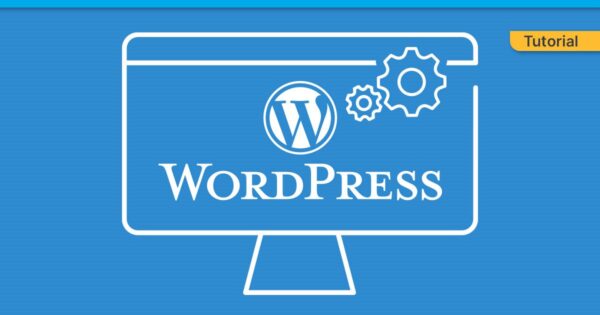 Wordpress Init Form Fields