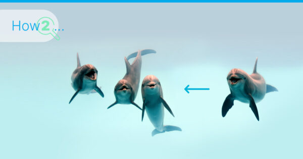 How To Create A User And Grant Permissions In Mysql Contabo